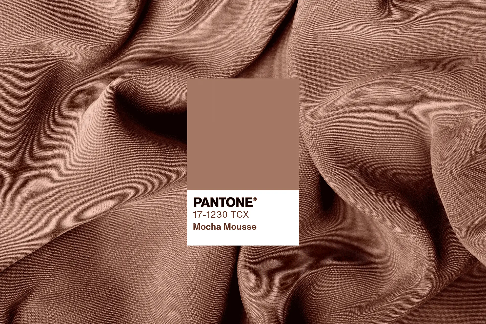 Pantone Colour of the Year | Mocha Mousse in Web & Graphics